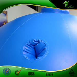 Inflatable Blueberry Suits - Waterproof Fun Costume