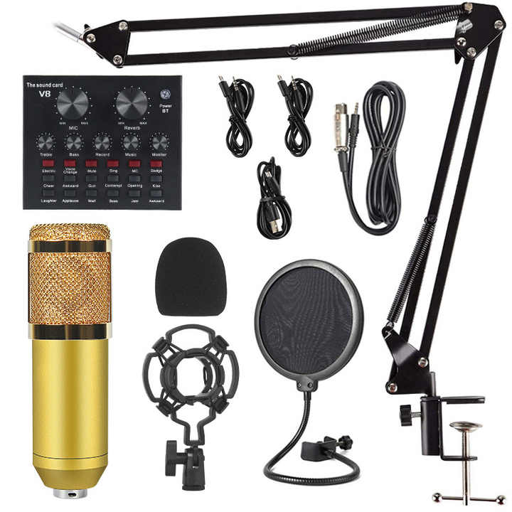 V8 Portable Wireless Handheld Microphone for Live Broadcast Studio ...