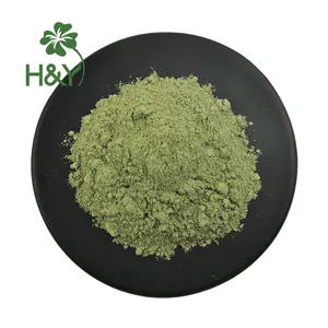 Natural Seaweed Ulva Lactuca Powder for Sale Sea Lettuce Powder for ...