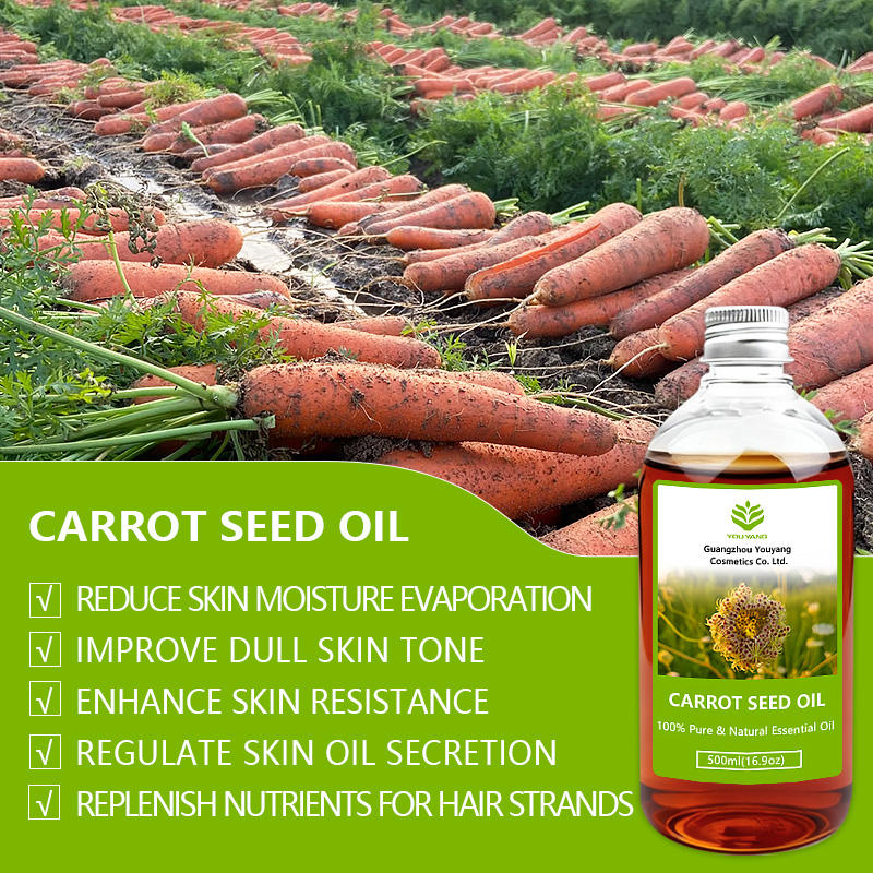 OEM Carrot Seed Oil Enriched with Vitamin E and Beta-Carotene,used for ...