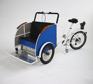 Modern Passenger Bike Trailer With Upscale Safety And Efficacy ...