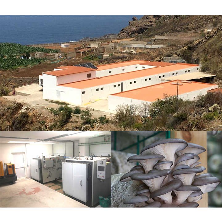 Complete Mushroom Cultivation Production Line by SATRISE