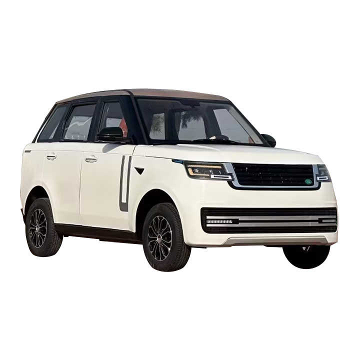 Low Speed New Mini Ev Car 3 Wheel Ev Car Low Price Ev Cargo Tricycle ...