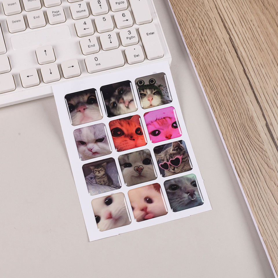 Funny Cat Dog Meme Eco-Friendly PVC 3D Logo Square Stickers Waterproof ...