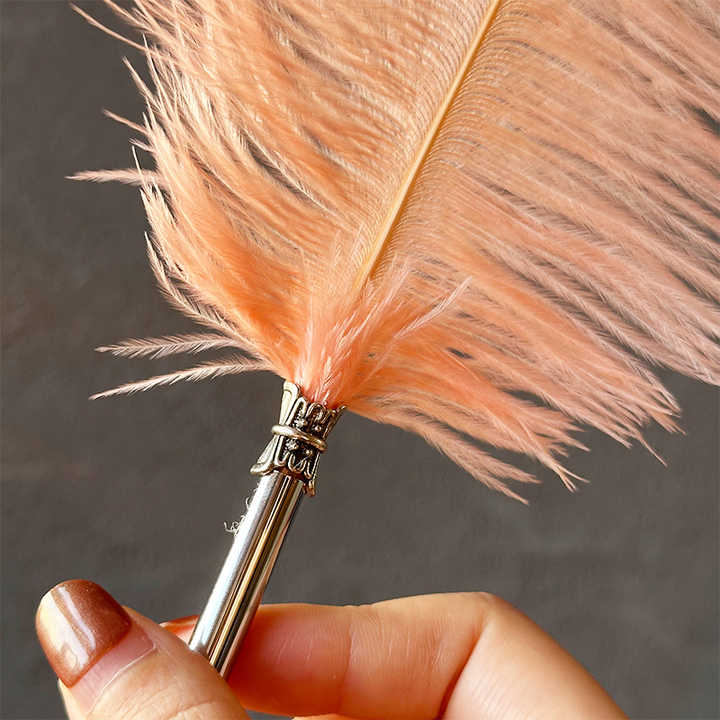 Wedding Pen Black Ink Signature Ostrich Feather Quill Ballpoint Pen ...