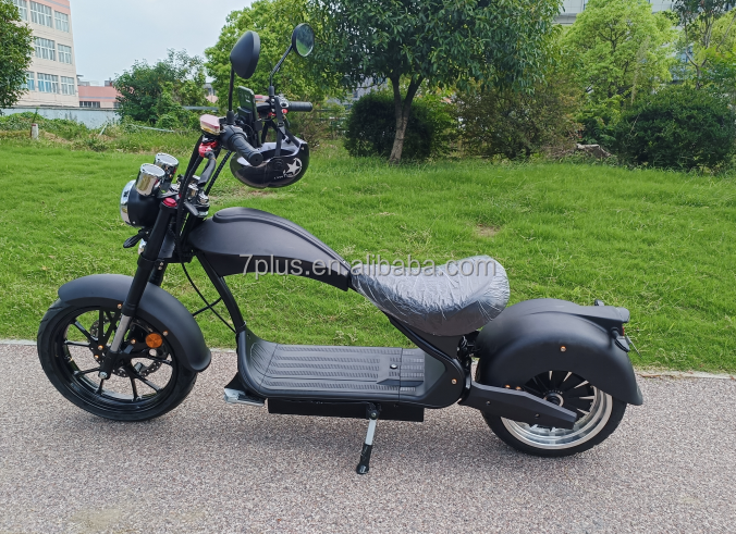 4000W Citycoco 75km/h High Speed USA DOT Electric Citycoco EU Stock EEC ...