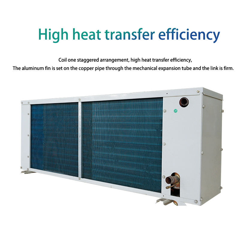 High Efficiency 2.5HP Cold Storage Cooling Unit - DD Series