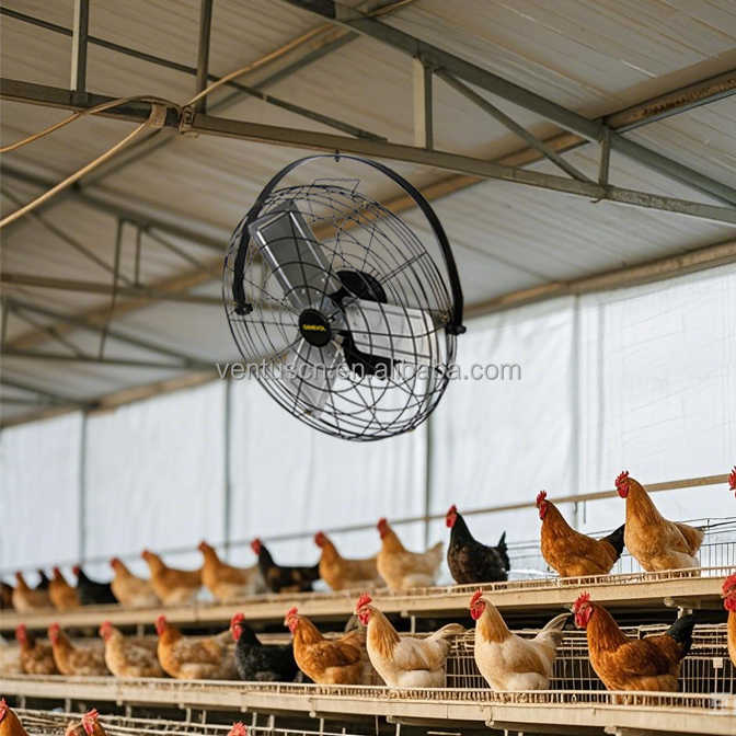 24'' 3 Speed Adjustable Fan Wide Guard Poultry Farm Circulation Metal ...