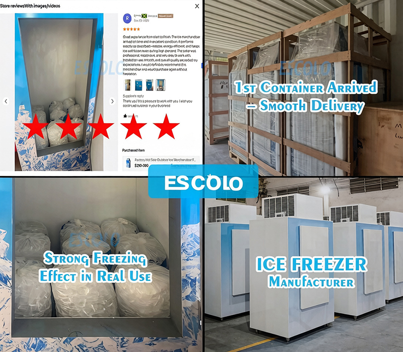 Maximize Efficiency with Reliable frozen display container for Business ...