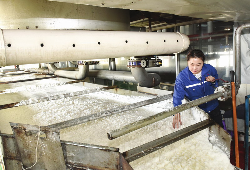Shanghai Factory Mini Sugar Beet & Sugarcane Crystal White & Brown ...