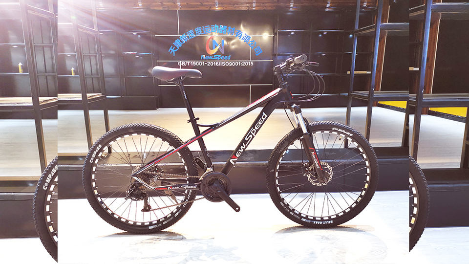 Company Overview - Hebei New Speed Technology Group Co., Ltd.