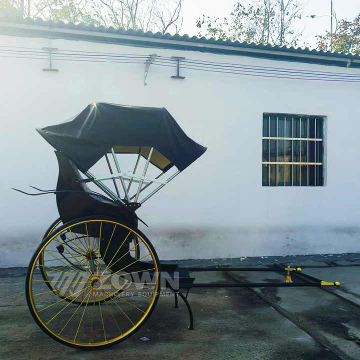 Old Style Rickshaw Horse Carriage New Arrival 2 Wheel Rickshaw with Low ...