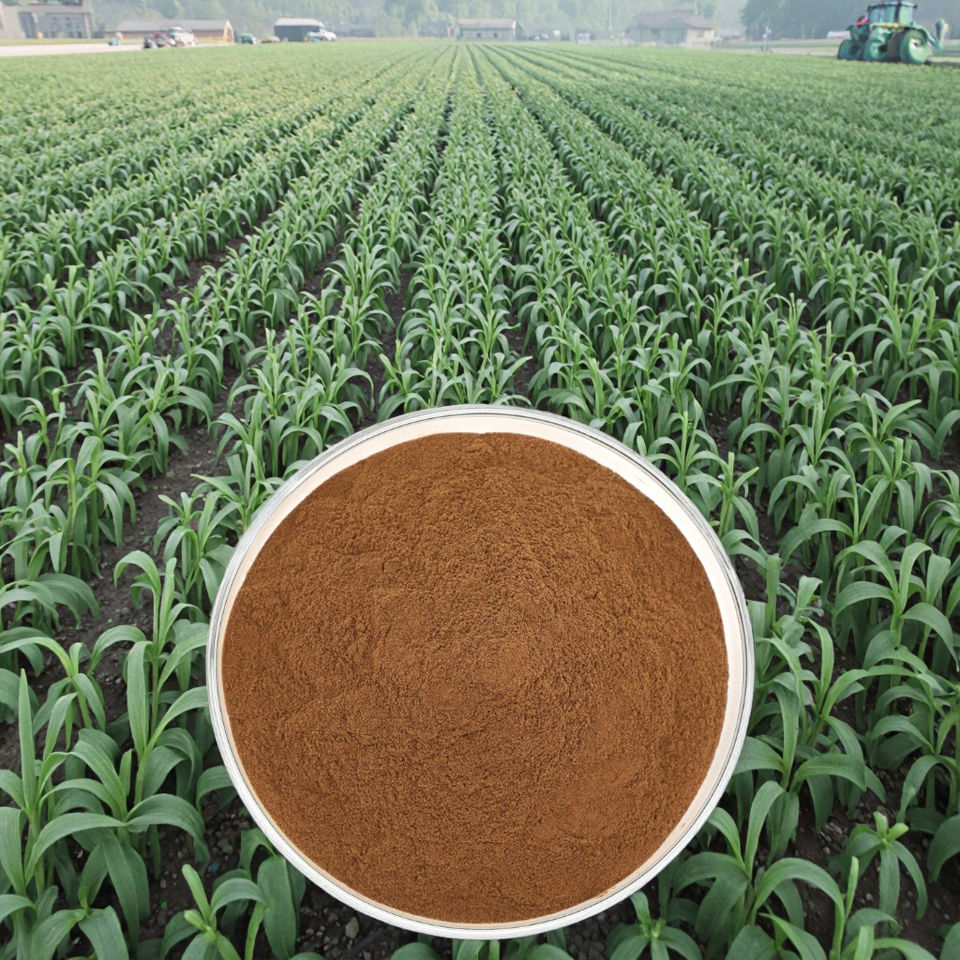 Zhongxiang Wholesale Bio Fulvic Acid Soil Conditioner Fertilizer Humic ...