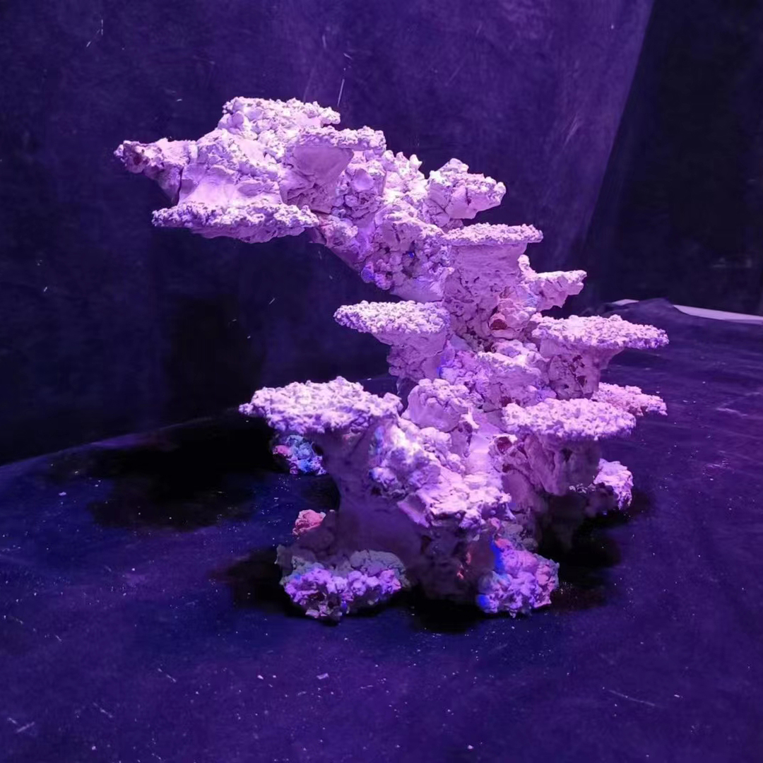 How to Choose the Best Dry Reef Rock for Your Aquarium Setup