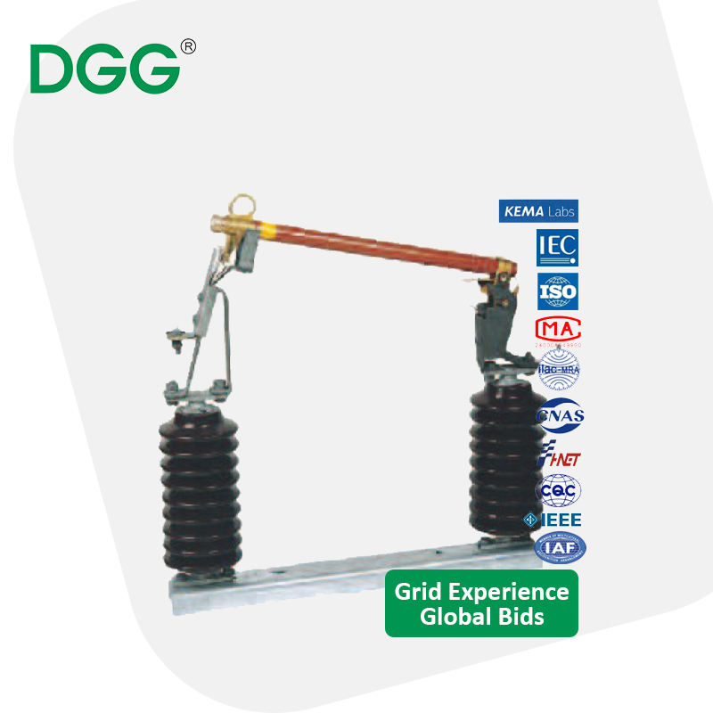 DGG 24kV Protection Fuse Outdoor Dropout Fuse for Transformer| Alibaba.com