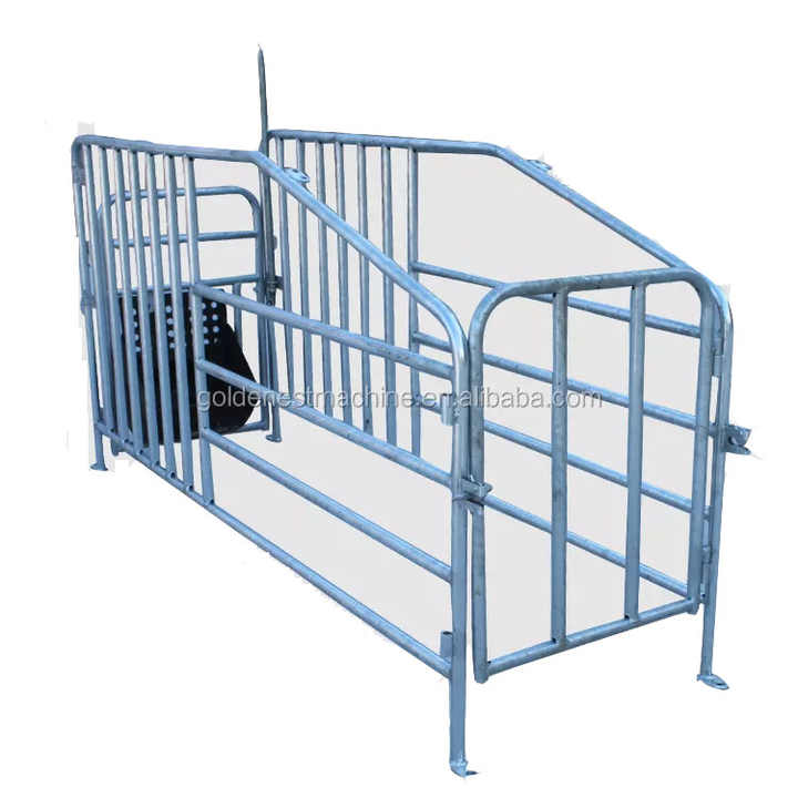Piggery Gestation pens/farrowing crates/nursery pens|automatic pig ...
