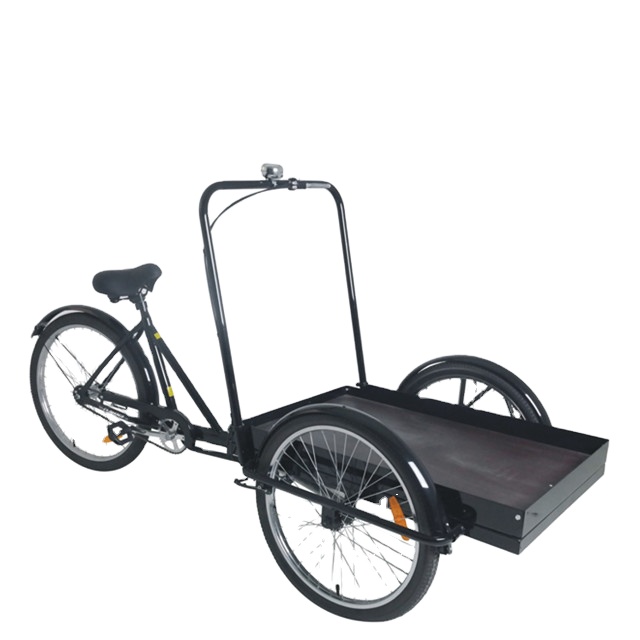 Front load tricycle store