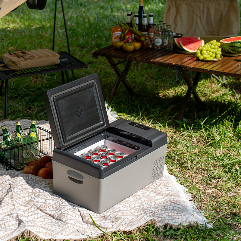 How to Choose the Best Cooler Box with Battery for Your Needs