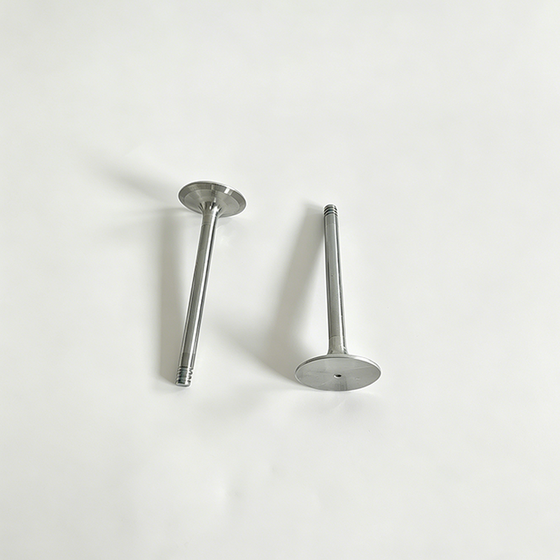 TCD3.6 Exhaust Valve for deutz diesel Engine Spare Parts 0412 4019 ...