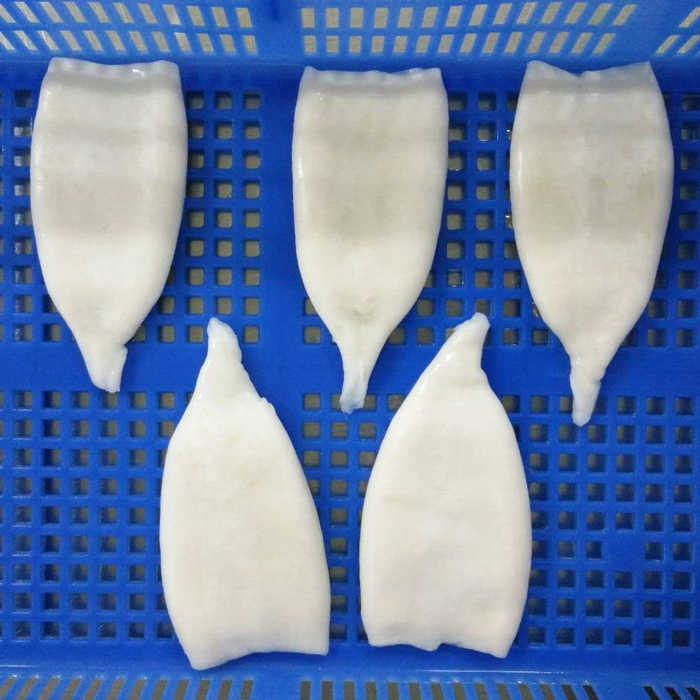 High Quality Giant Squid Tube Frozen Gigas Squid in Bulk Good Price on ...