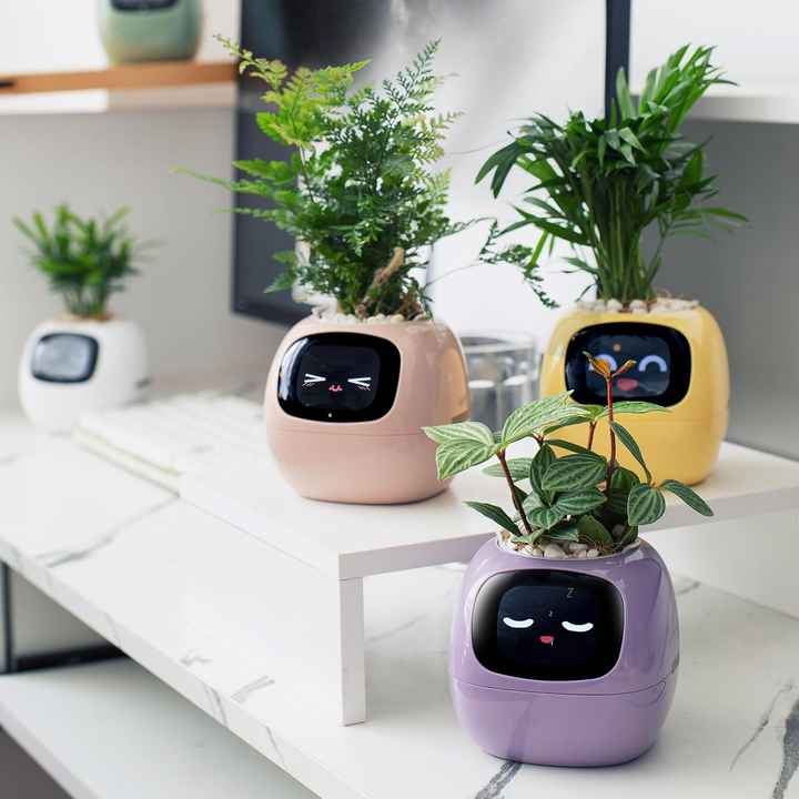 Smart Pet Planter Robot - Adorable Plant Care Companion