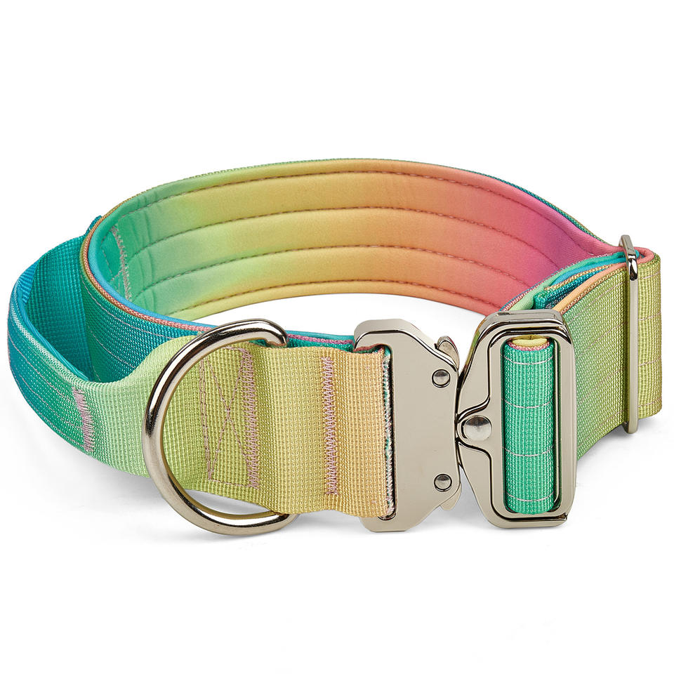 Best Seller Small Dog Training Tactical Collar In-Stock Solid Color ...