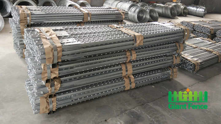 8 Ft Green Metal Galvanized Steel T Post - Easy Assembly