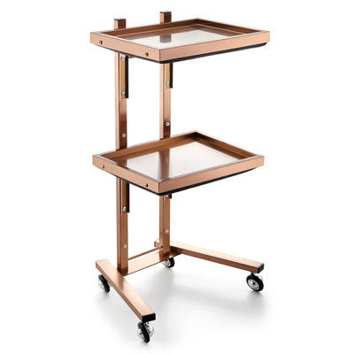 How to Choose the Best Salon Trolley Gold: A Complete Buying Guide