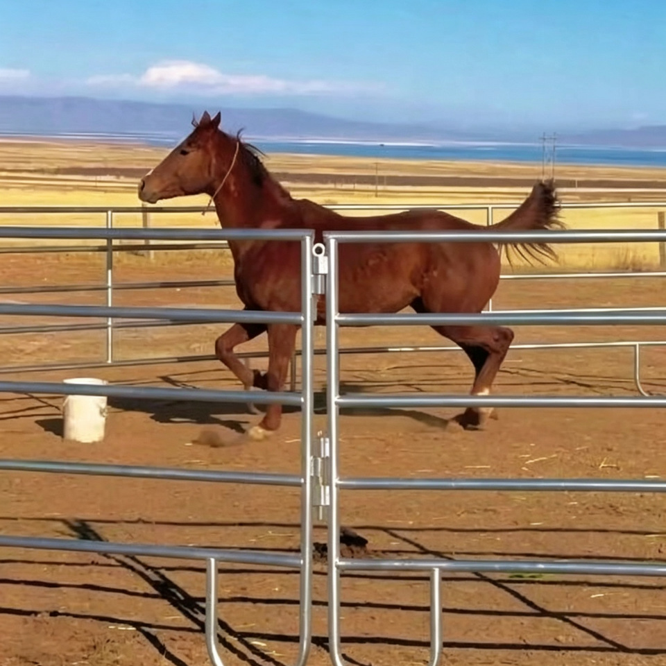 Livestock Fencing Cattle Panels Horse Corral Panels and Gates ...