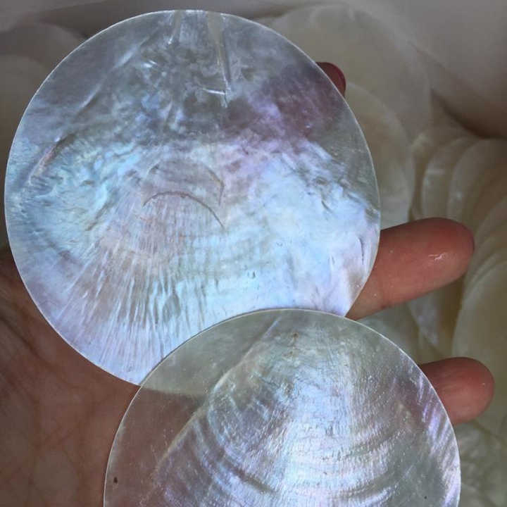 50 Mm Shell - Natural White Capiz for DIY Crafts & Decor