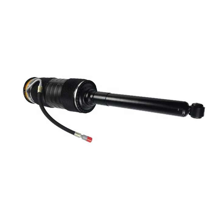 Hydraulic Shock Absorber for Mercedes-Benz-S W221 OEM A2213208913 Rear ...