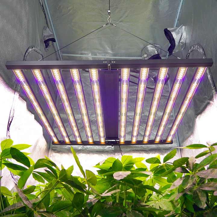 MEIJIU 2023 LED Grow Lights - High Efficiency & Customizable Spectrum