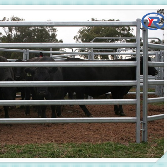 In Stock Pipe Corral Panels Heavy-Duty Galvanized | Alibaba.com