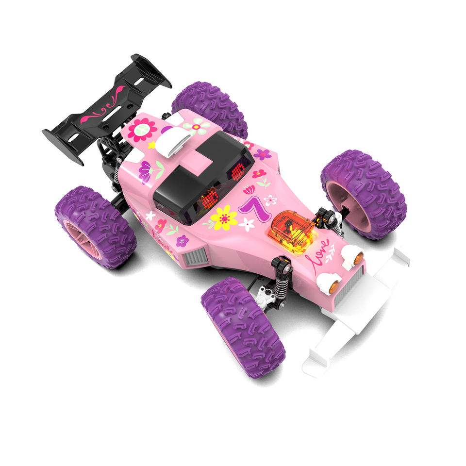 All Terrain Ready Small High Speed Remote Control Car 2.4G Exclusive ...