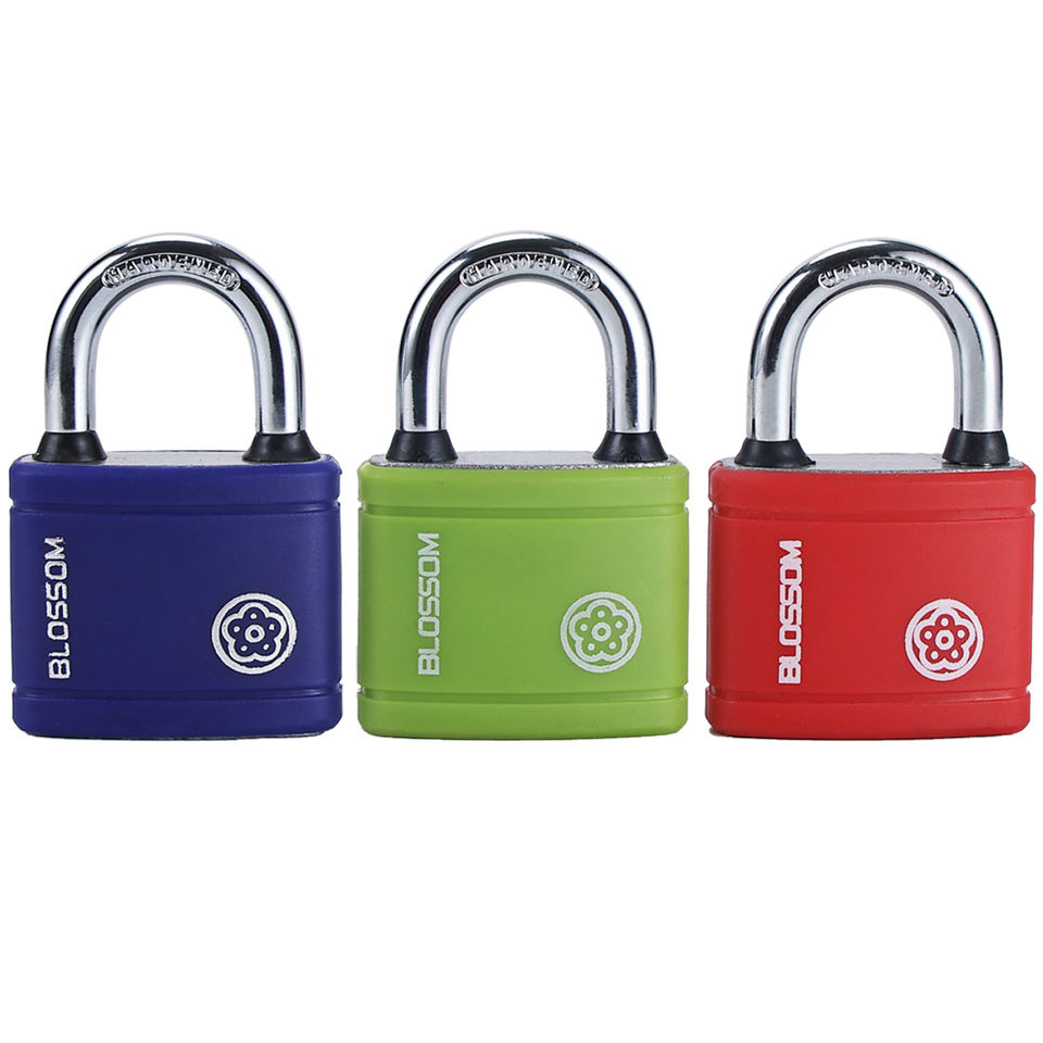 BX01 Blossom Lock - Durable and Versatile Iron Padlocks