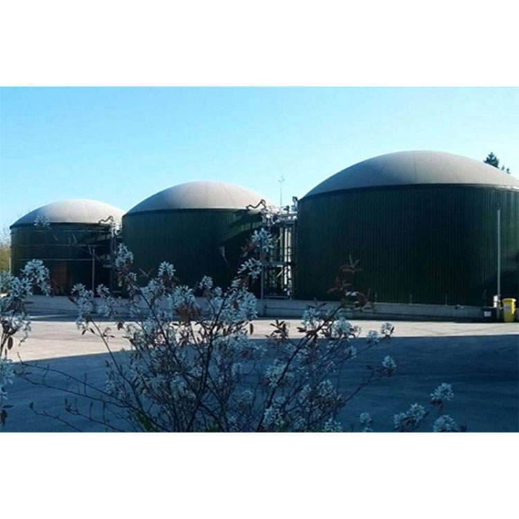 Biogas Booster Compressor Station with Automatic PLC Control Engine ...