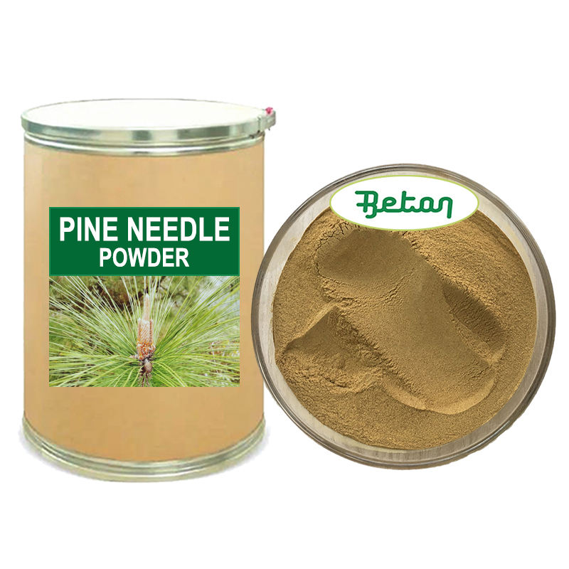 How to Choose the Best Pine Needle Extract: A Complete Buying Guide