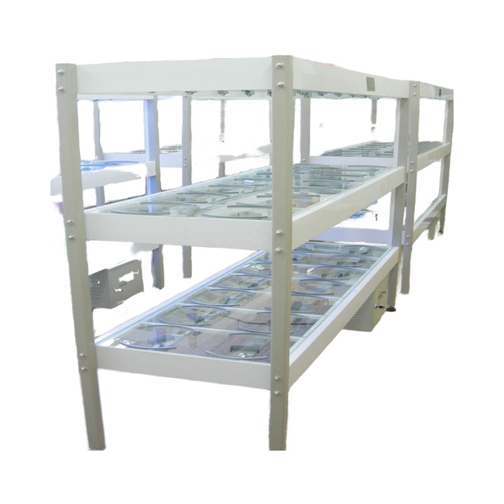 Chlorella Microalgae Algae Culture for Aquaculture Equipment Storage ...