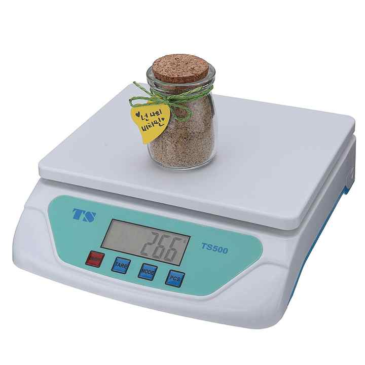 TS-500 Digital Postal Scale - Accurate & Reliable Weighing