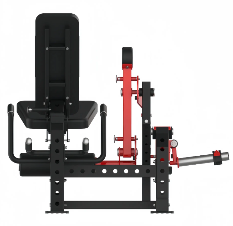 How to Choose the Best Cable Seated Leg Curl Machine for Your Gym