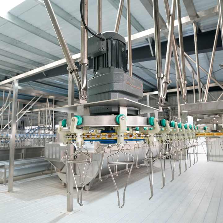 Halal Small Broiler Chicken Slaughter Machine Chicken Processing Plant ...