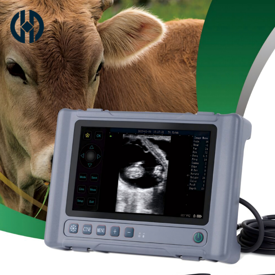 Manhua Waterproof Handheld Veterinary Ultrasound Scanner with 8-Inch ...