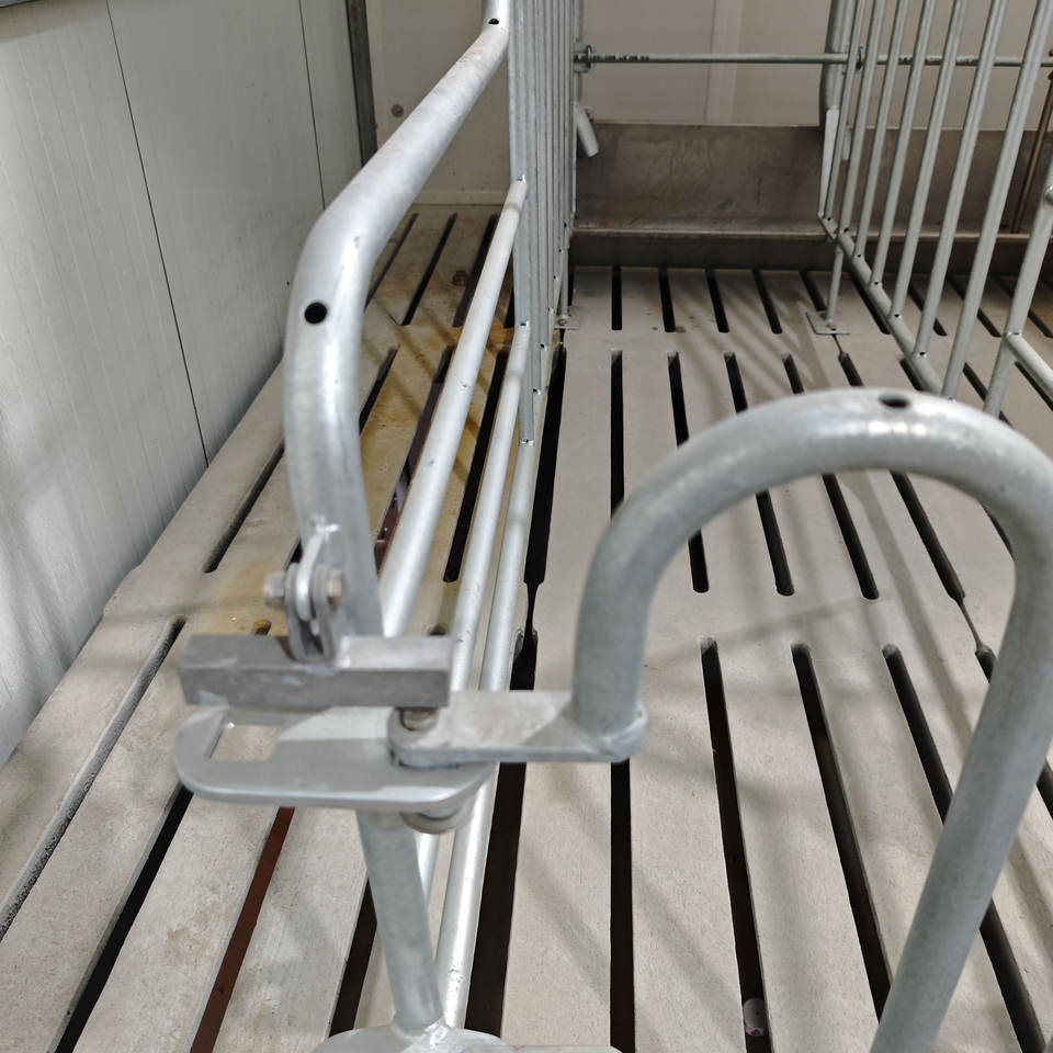 Cost Effective Rust Proof Sow Containment Cage Sow Stall Cage System ...