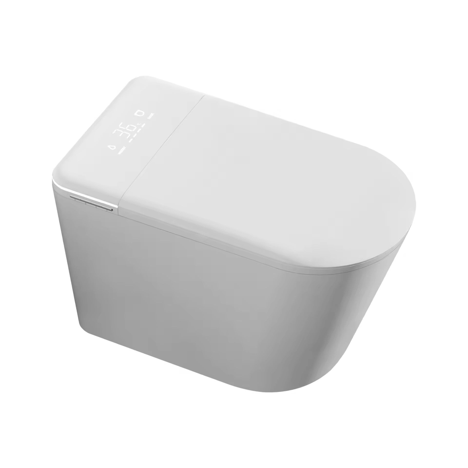 Luxury Floor Smart Toilet Electronic Flush Ceramic Smart Toilet Built ...