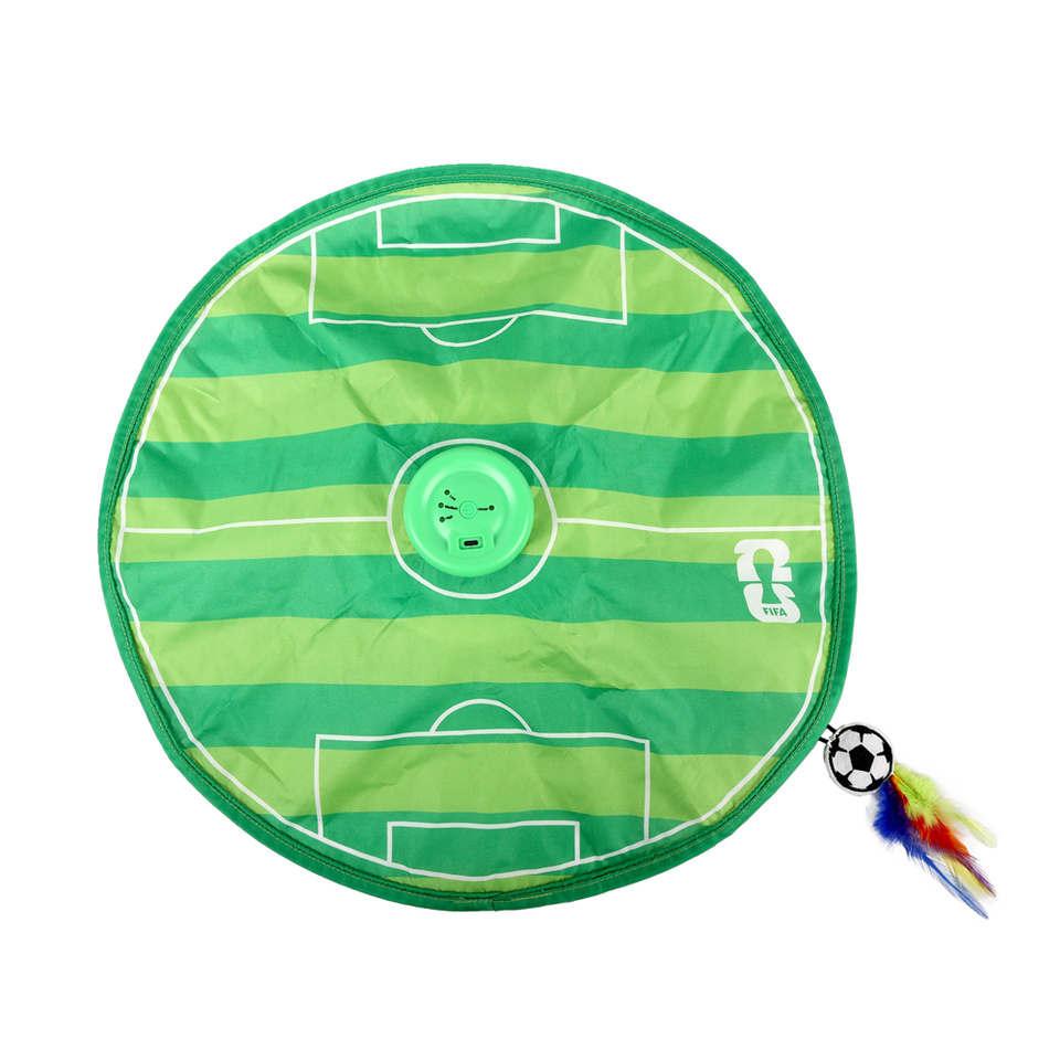 FIFA World Cup Official Licensed Pet Toy Inteactive Cat Feather Teasing ...