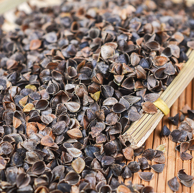 How to Choose the Best Buckwheat Husks for Pillows and Bedding