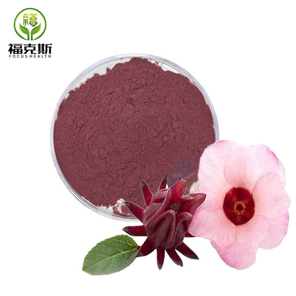 100% Natural Organic Pure Dried Hibiscus Flower Extract Miniature ...