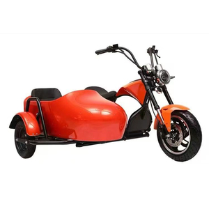 Trike Camper - Ultimate 3 Wheel Electric Bike for Adventure