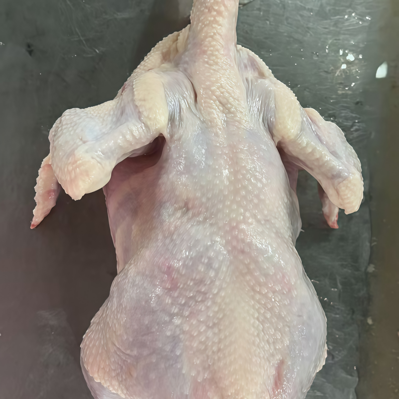 Halal Organic Frozen Whole Chicken Halal Frozen Chicken Halal Frozen ...