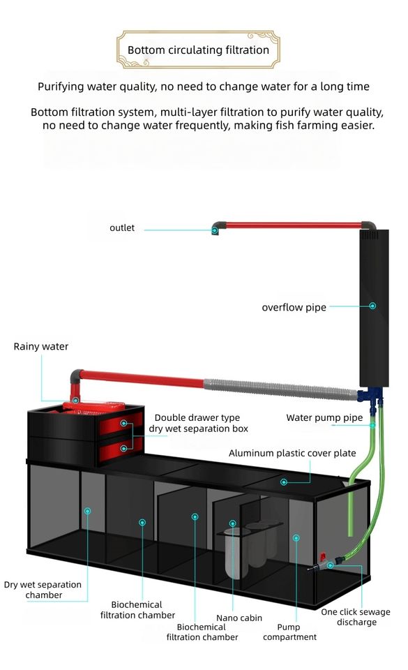 Glass Wholesale Commercial Rectangle Wall Aquarium Arowana Ecological ...